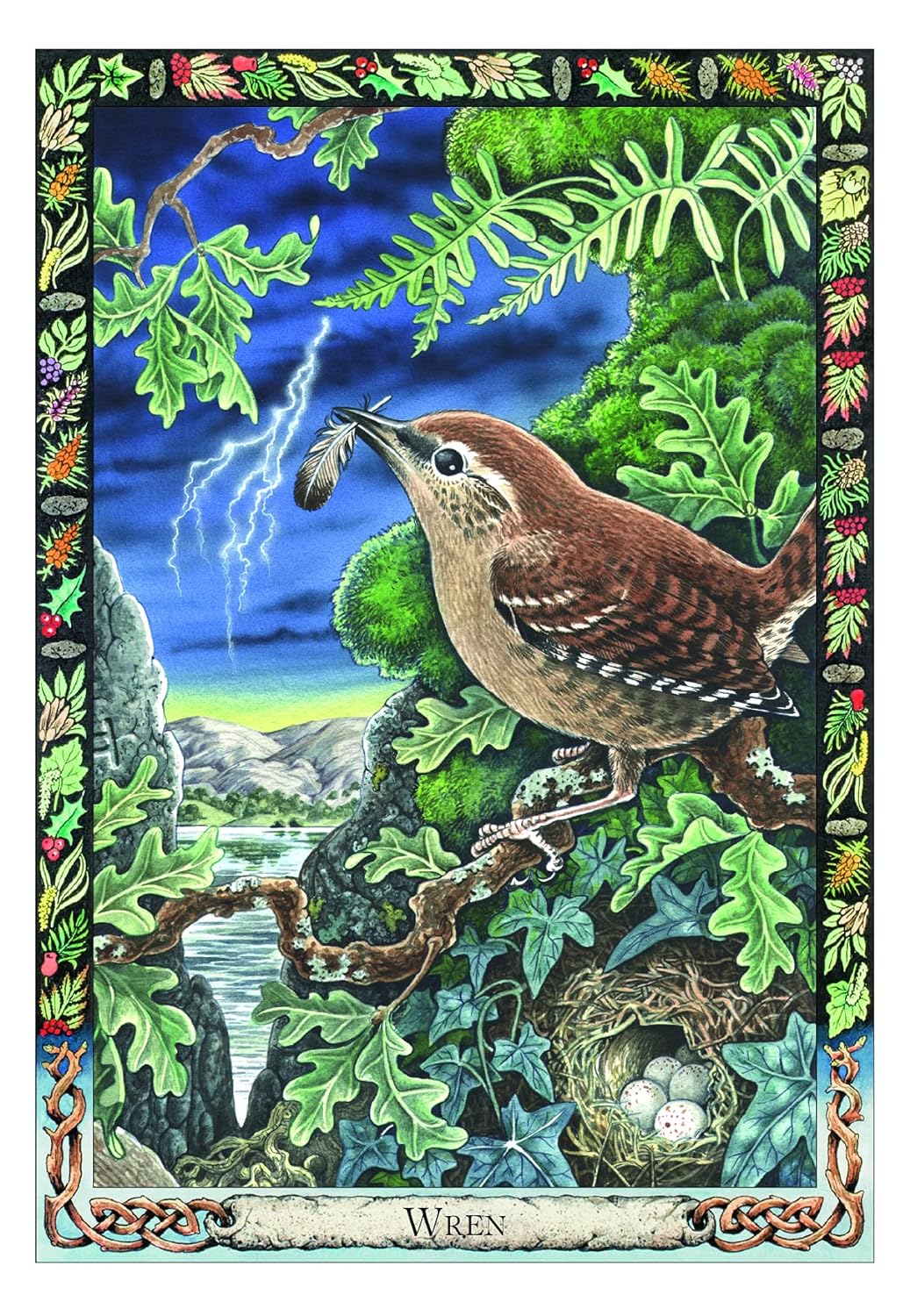 Druid Animal Oracle Deck – The Spirit of Water