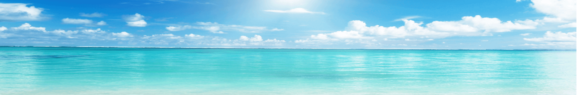 Seashells Have Power – The Spirit of Water